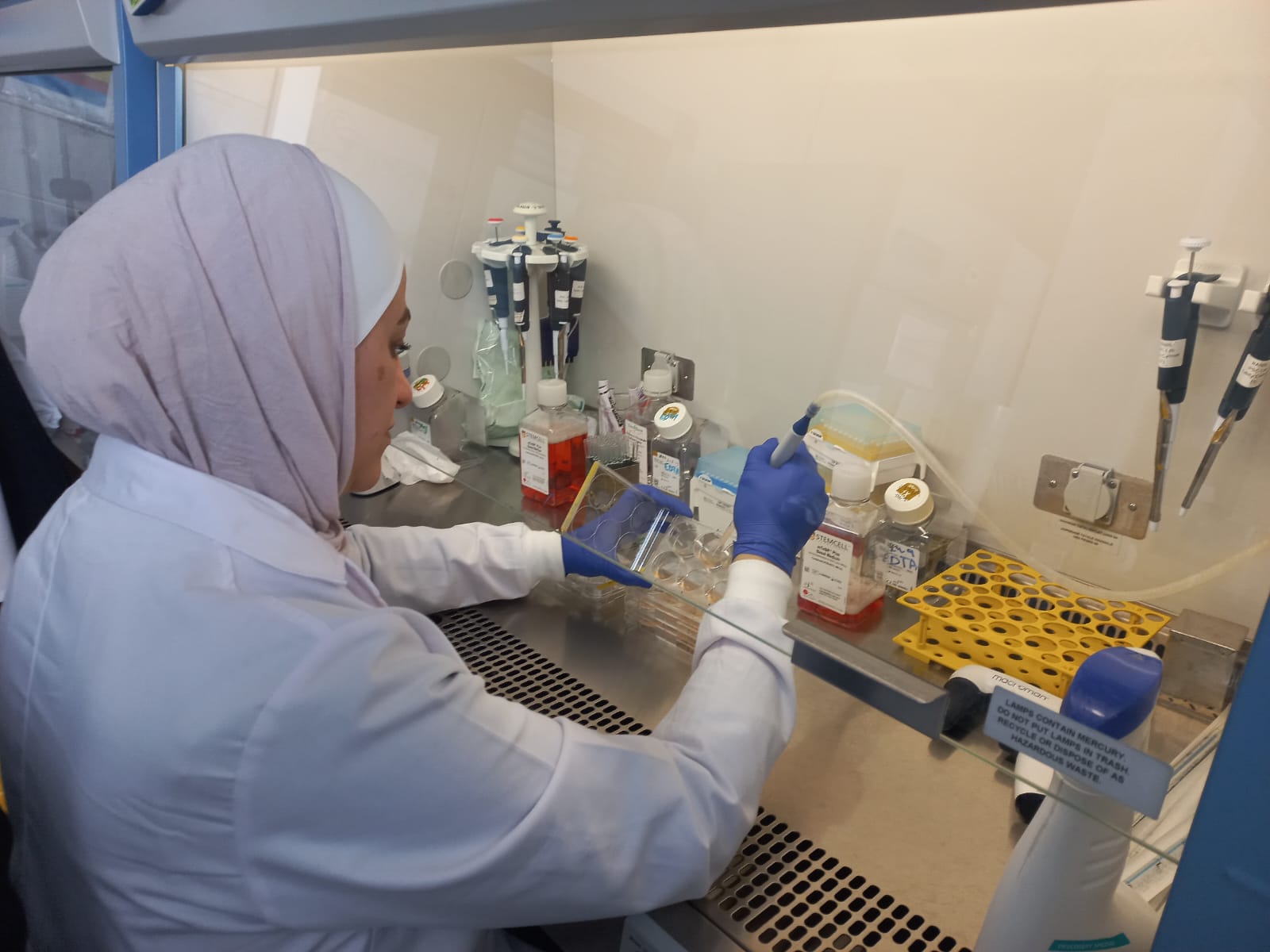 Cell Therapy Center - The University of Jordan