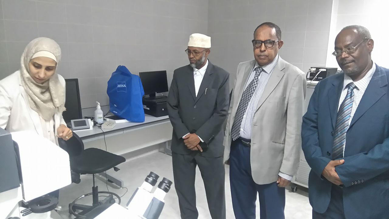 Images - All Documents